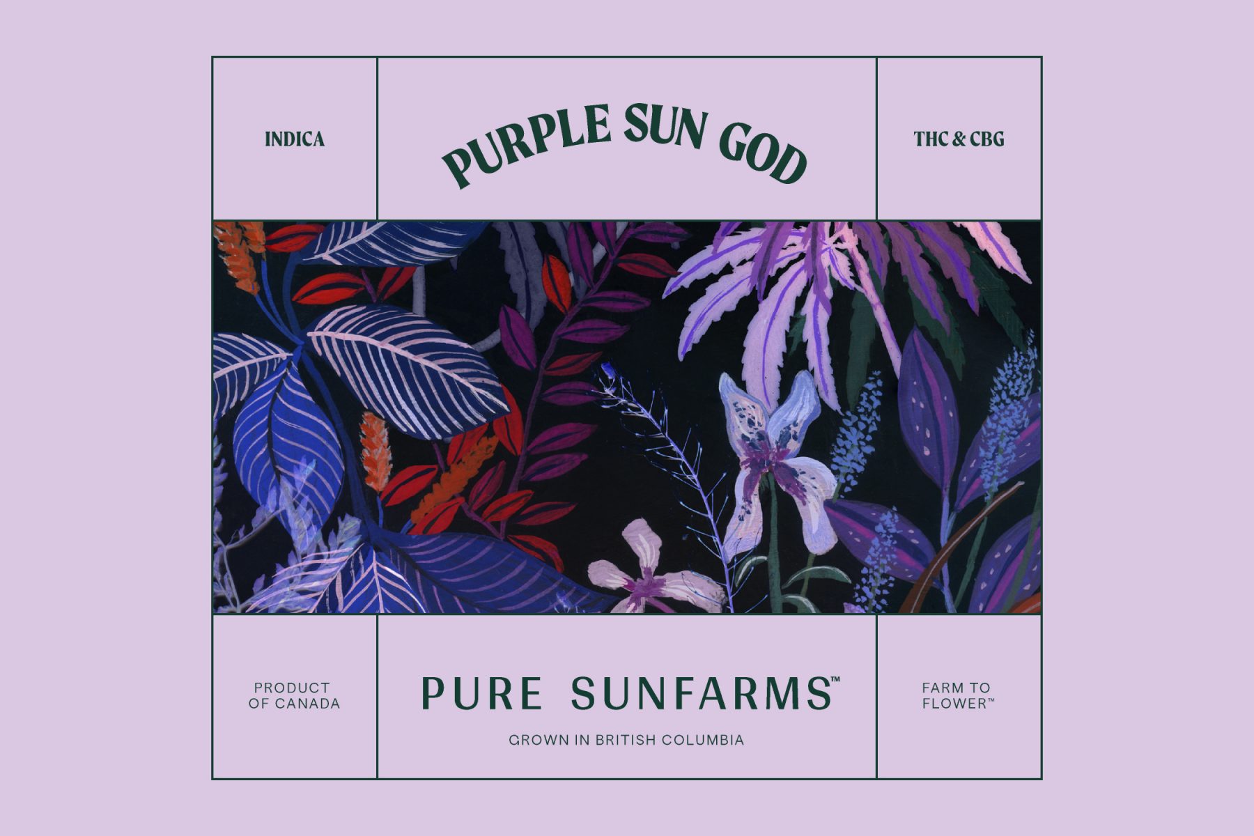 Explore — Pure Sunfarms