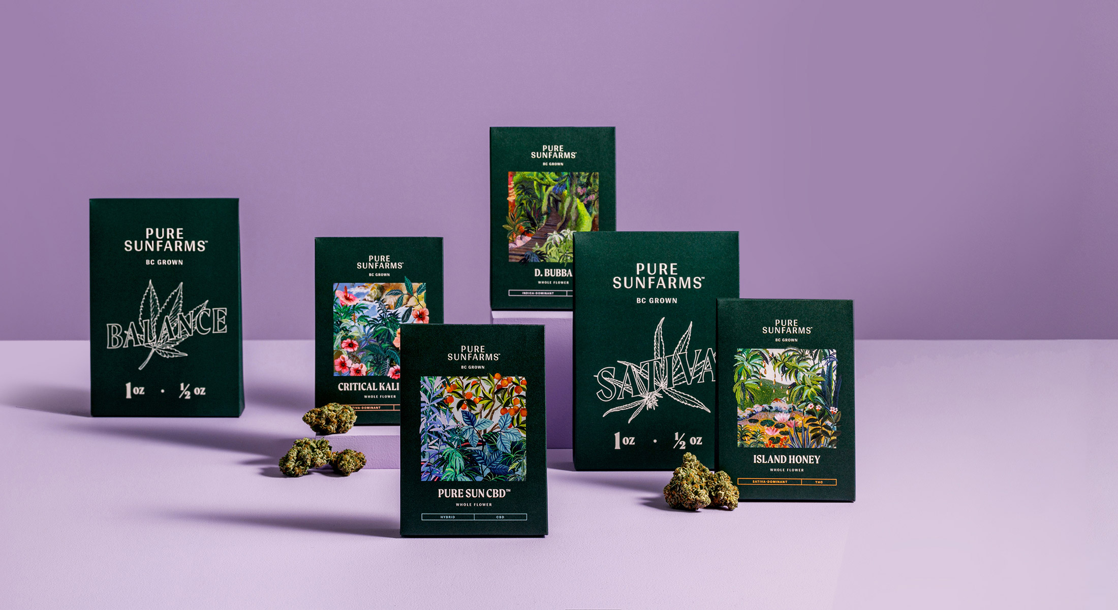 Explore — Pure Sunfarms
