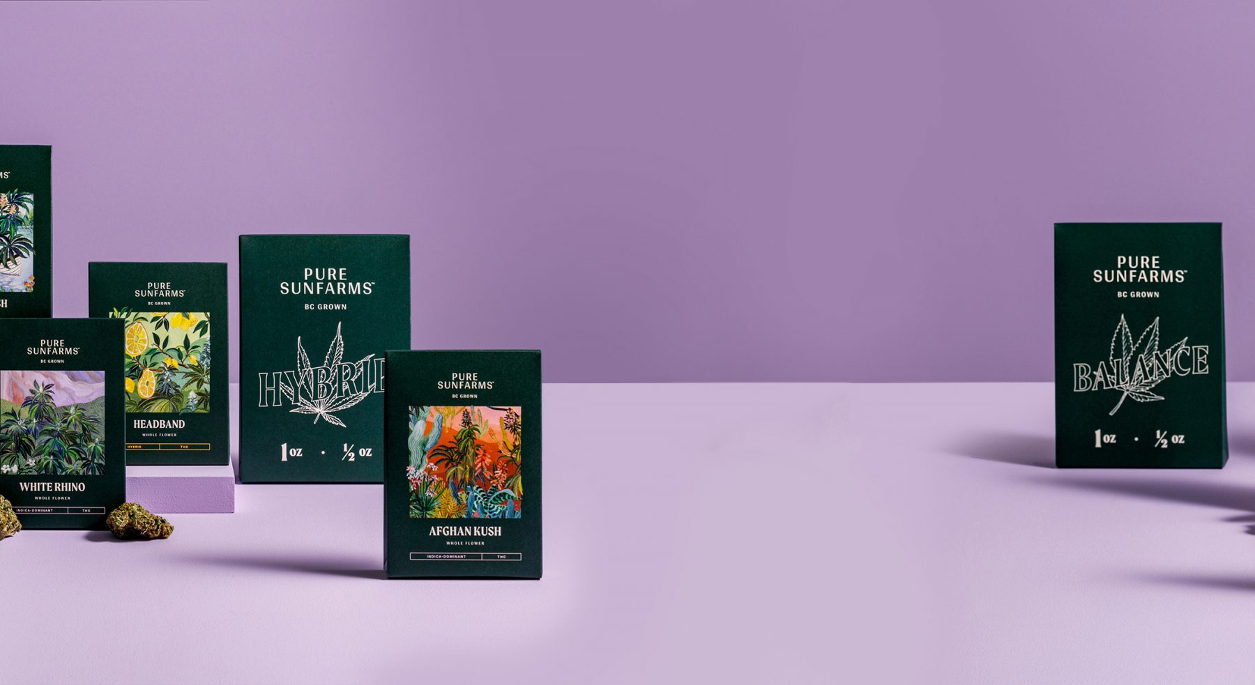 Flower — Pure Sunfarms