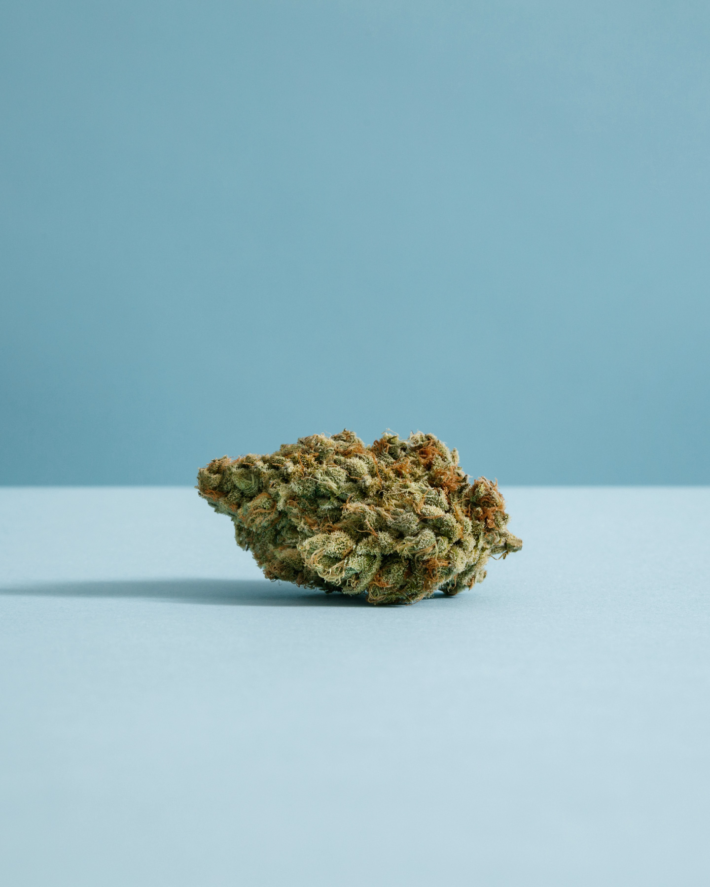 Blue Weed Buds