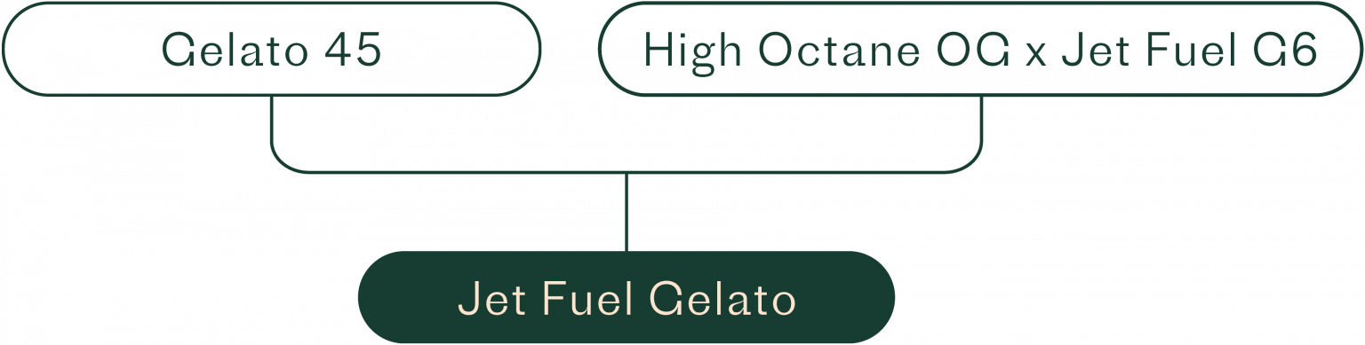 Jet Fuel Gelato — Pure Sunfarms