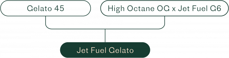 Jet Fuel Gelato — Pure Sunfarms
