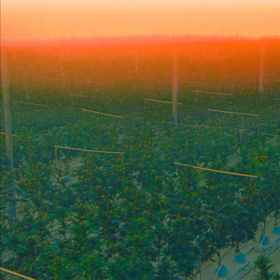 Team — Pure Sunfarms